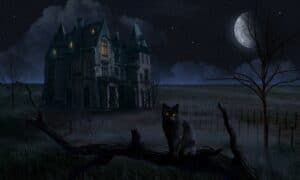 HOW TO KNOW IF YOUR CAT SEES A GHOST? 7+ REVEALING SIGNS - DorkyCats