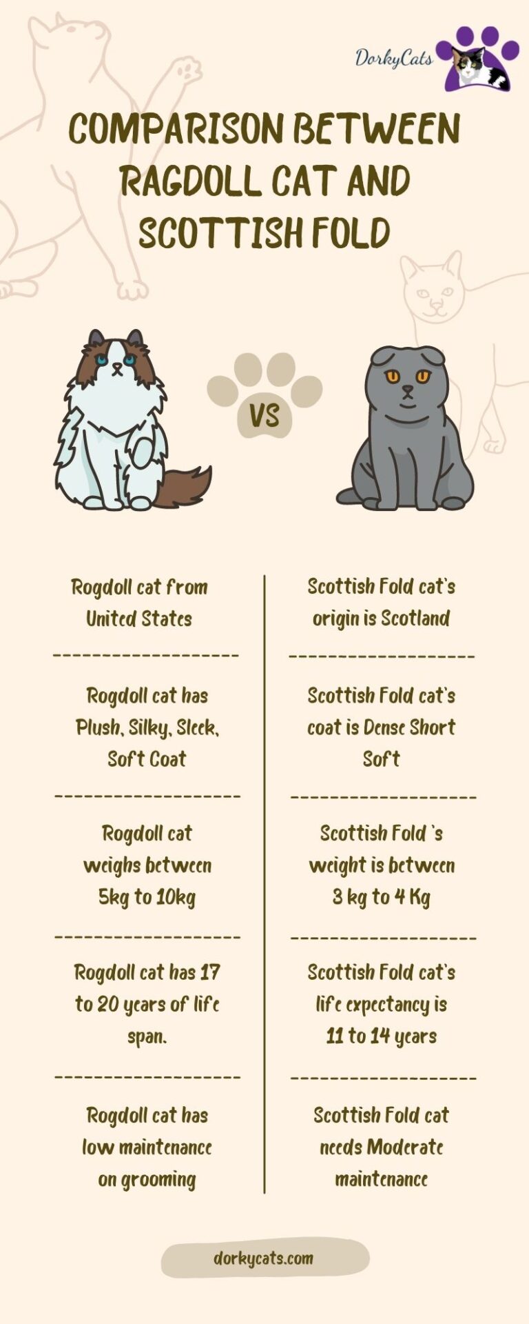 SCOTTISH FOLD CAT PERSONALITY AND BREED (ALL YOU NEED TO KNOW) - DorkyCats